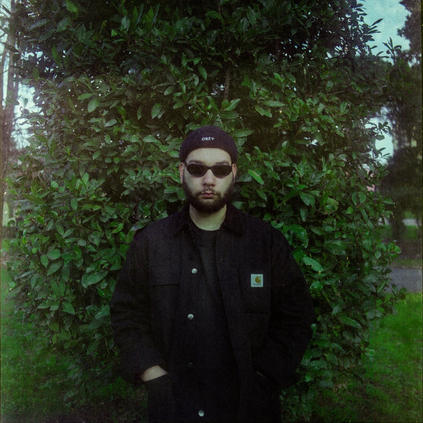 XL Regular · Artist Profile