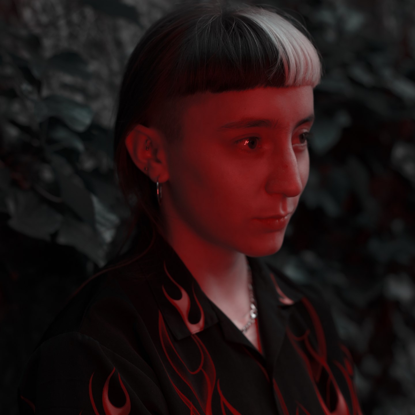 X.L.V · Artist Profile