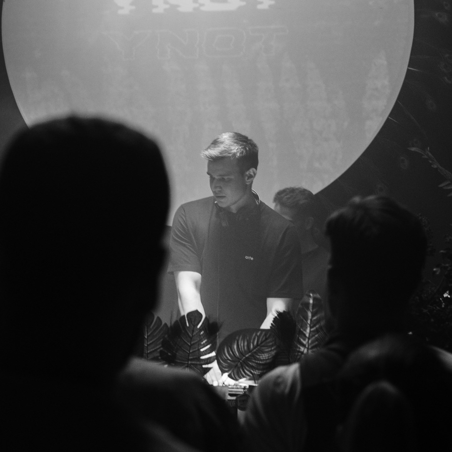 YNOT · Artist Profile