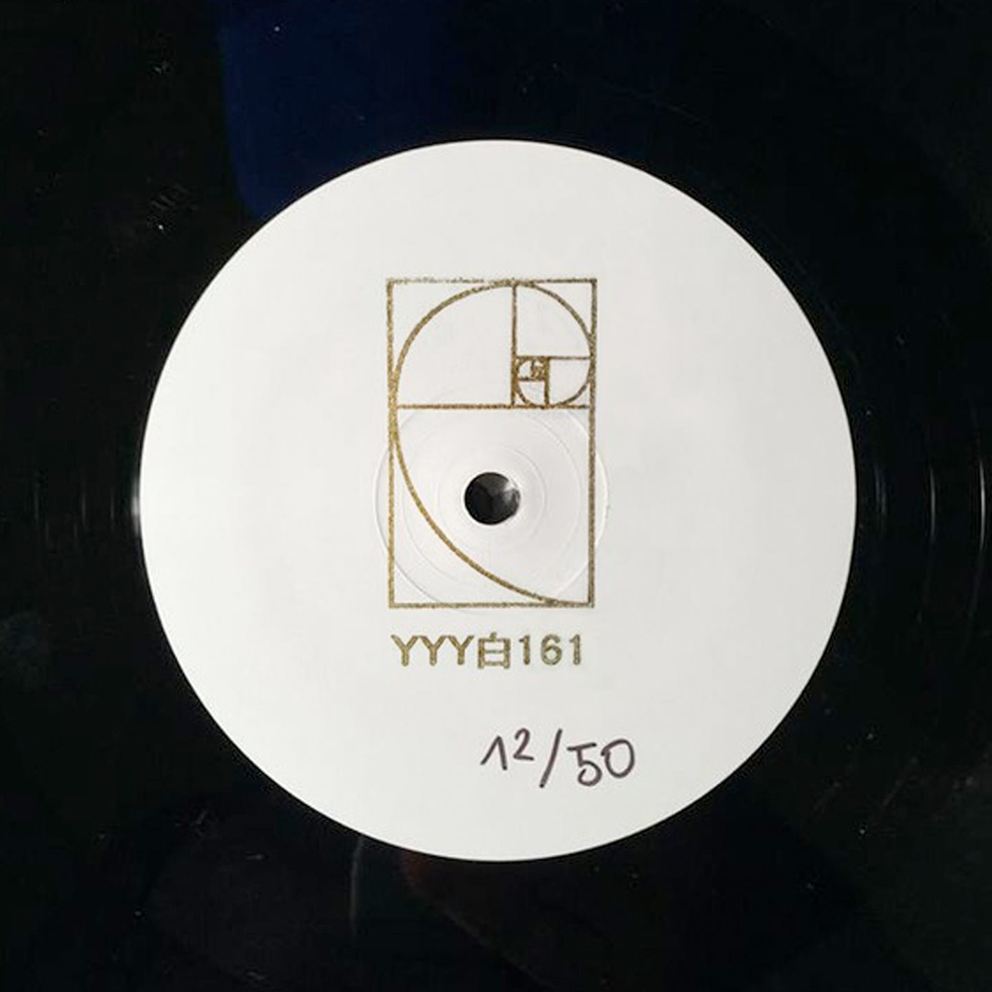 YYY · Artist Profile