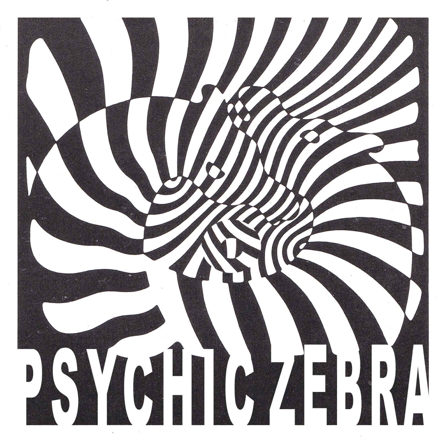 Zebra Muscles · Artist Profile
