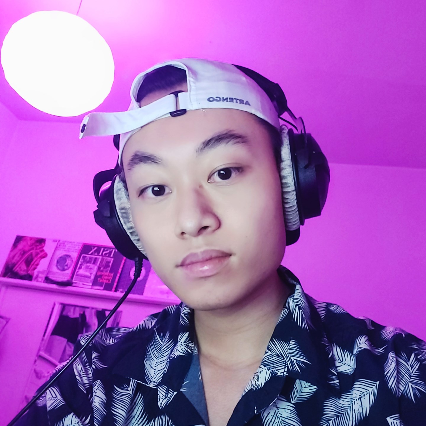 Zimo · Artist Profile