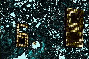 Steff · Tour Dates & Tickets