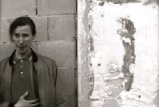 Steve Mensink · Artist Profile