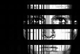 Tim Penner · Artist Profile