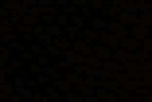 Zoazoa · Tour Dates & Tickets