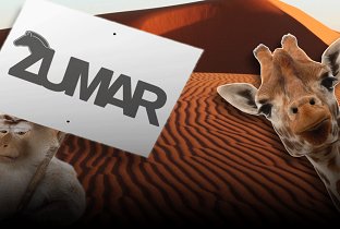 Zumar · Artist Profile