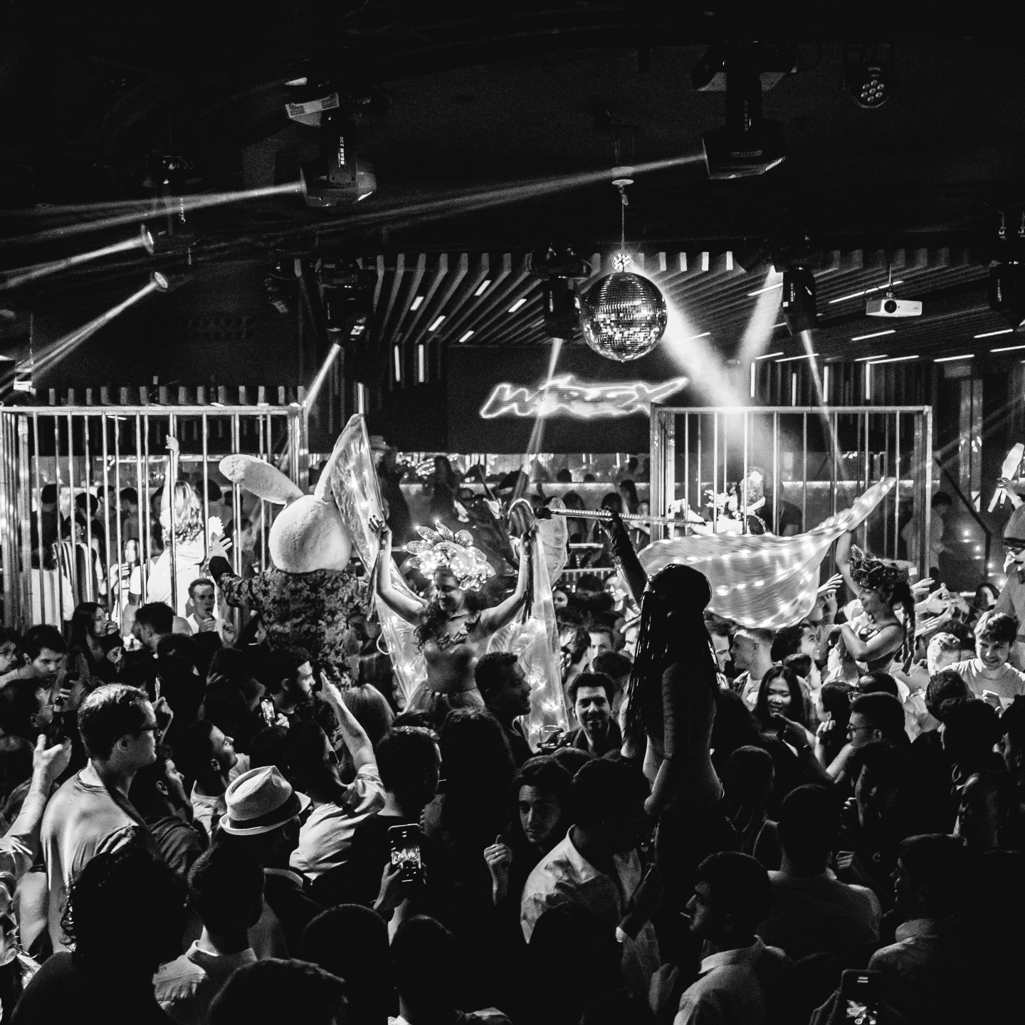 DLG International · Upcoming Events, Tickets & News