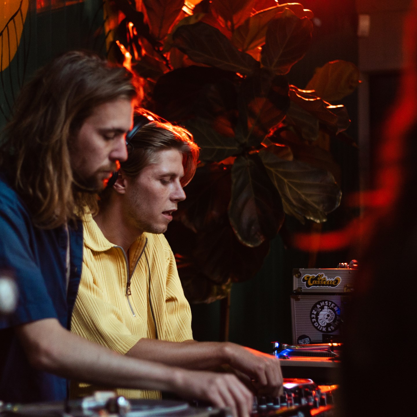 Disko Disko · Upcoming Events, Tickets & News