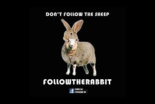 follow-the-rabbit · Upcoming Events, Tickets & News