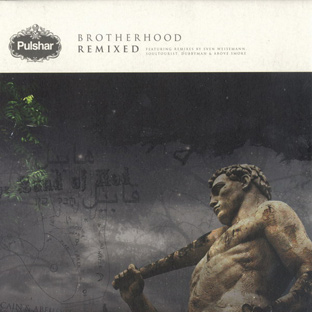 Pulshar - Brotherhood Remixed · Single Review RA
