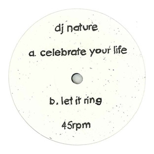DJ Nature - Celebrate Your Life · Single Review RA
