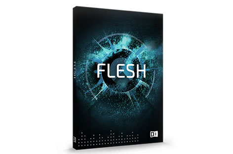 Native Instruments - Flesh · Tech Review RA