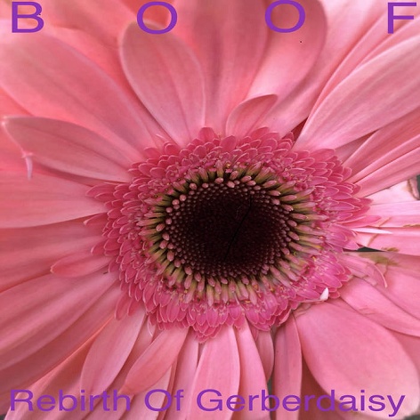 BOOF - Rebirth Of Gerberdaisy · Album Review RA