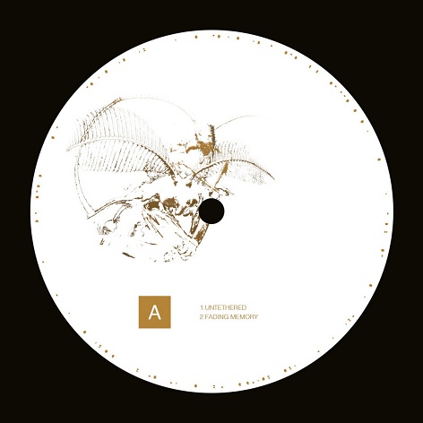 YS - Untethered · Single Review RA