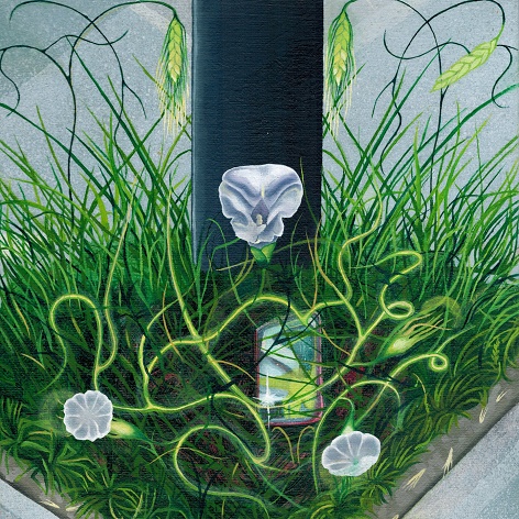 Forest Casual - Drum, Botany & the Brash · Single Review RA